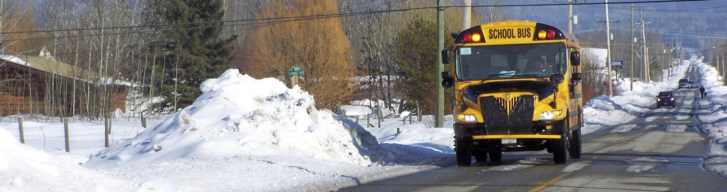 How to Prepare Your School Bus Transportation for Bad Weather