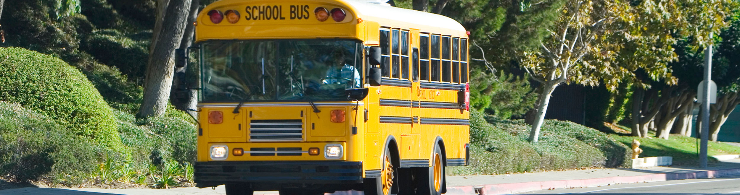 BusBoss Live Chat Assistance