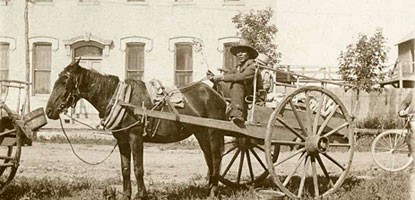 Exploring the Fascinating History of School Buses