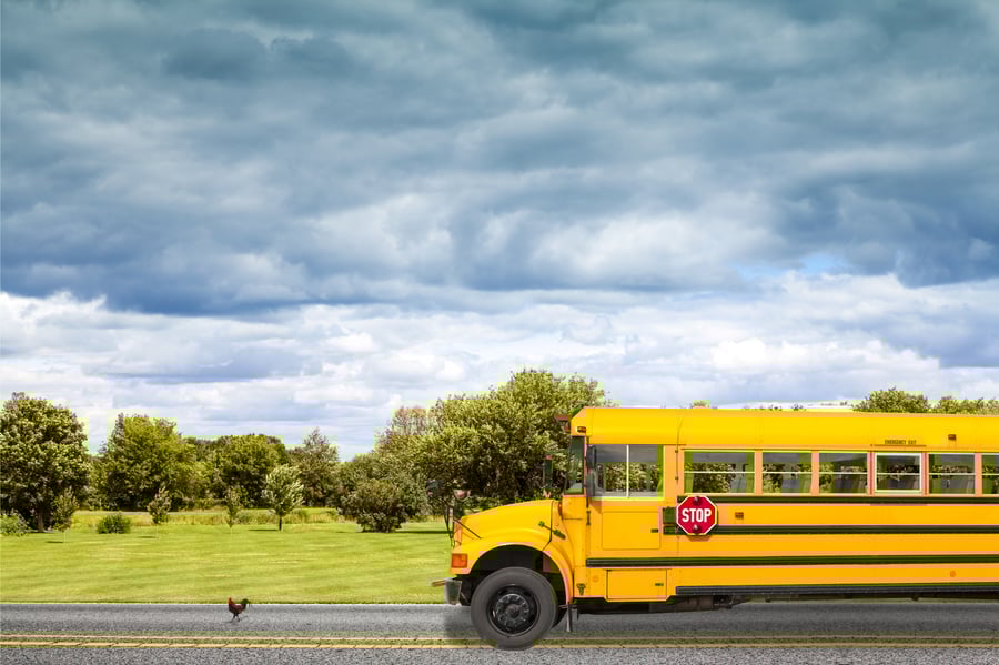 Environmental Benefits of School Bus Transportation