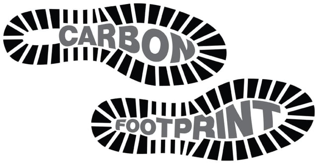 School Bus Transportation: Reducing Carbon Footprints